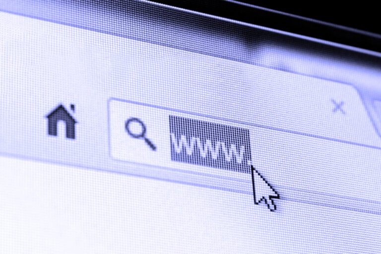 the Internet is making us stupid