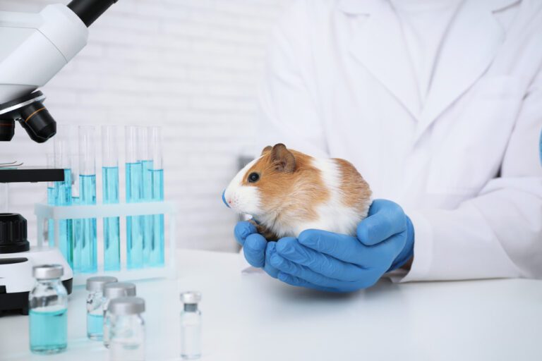 4 Horribly Cruel Tests on Animals: The Darkest Sides of Science