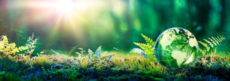 14 Easy Sustainable Practices Recommended by Scientists - Science in ...