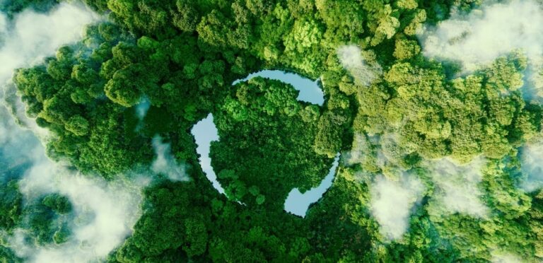 14 Easy Sustainable Practices Recommended by Scientists - Science in ...