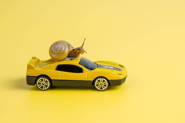 Memory Study: Our Mind Can Help Us Learn New Things, According to ...